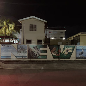 Ana’s Corner - Ana E Ross